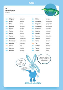 The Secret Rules of Der, Die, Das book - by Norbert Racskó